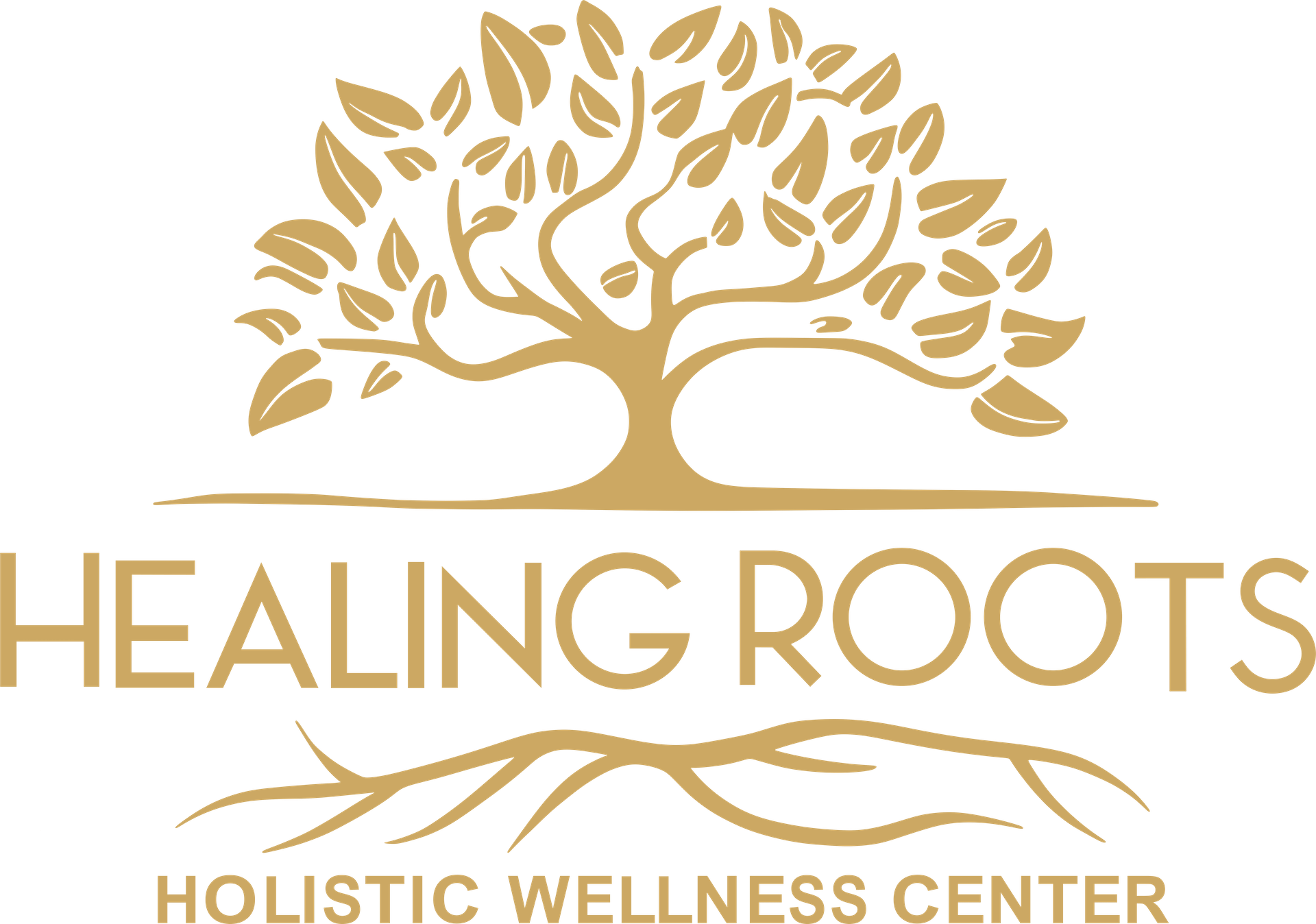 Healing Roots Holistic Wellness Center logo